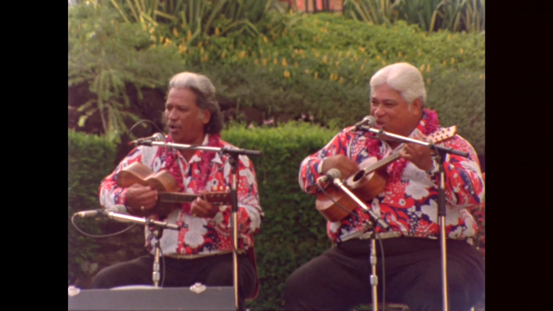 The Ho'opi'i Brothers perform "Kupa Landing" in Robert Mugge's film ...