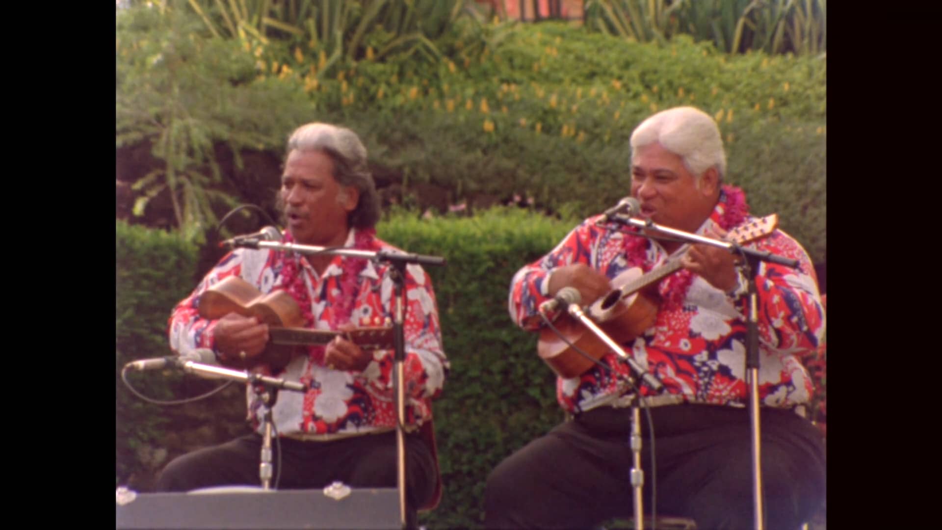 The Ho'opi'i Brothers perform "Kupa Landing" in Robert Mugge's film ...