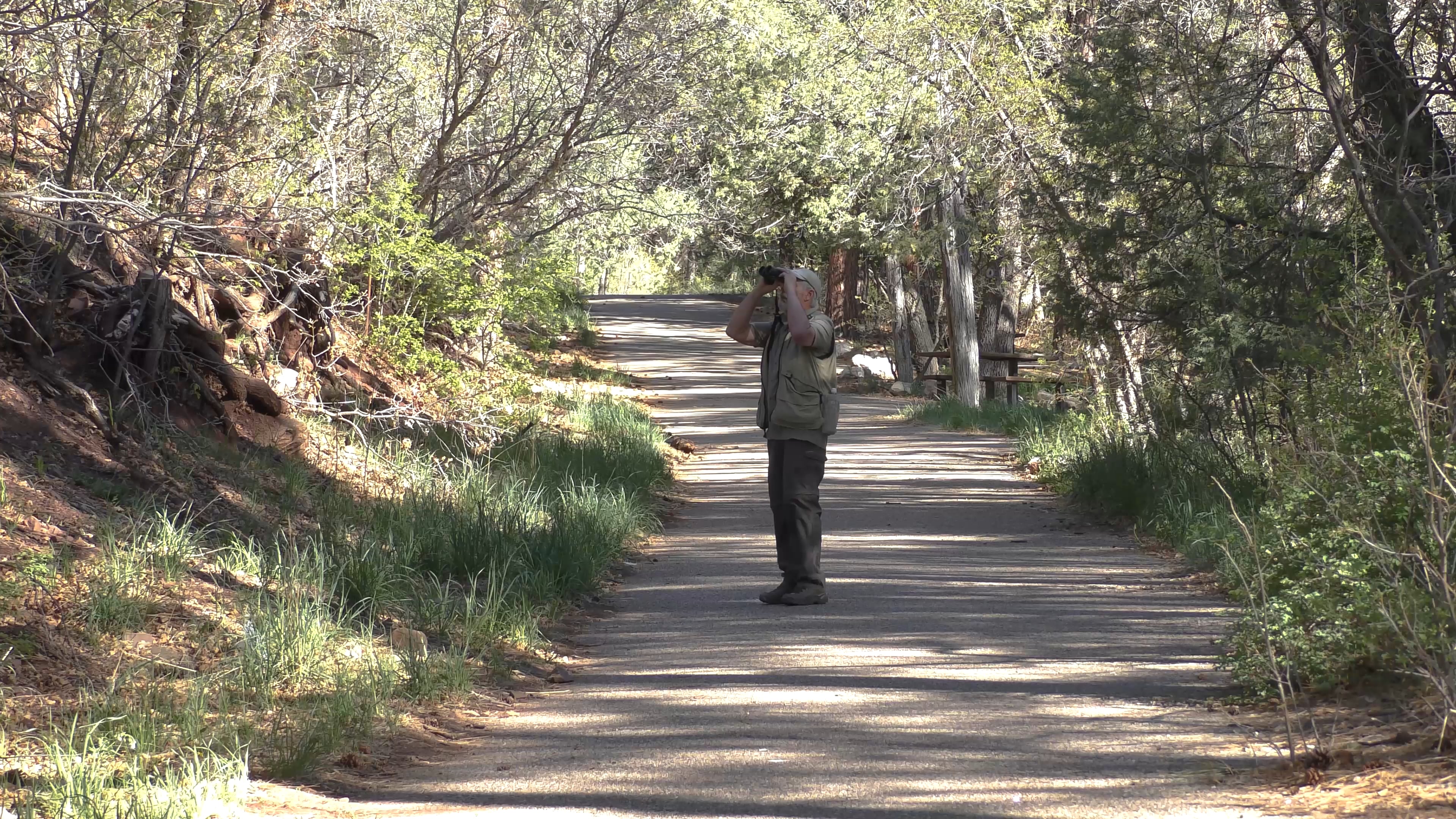 Birding 101 with Wezil Walraven on Vimeo