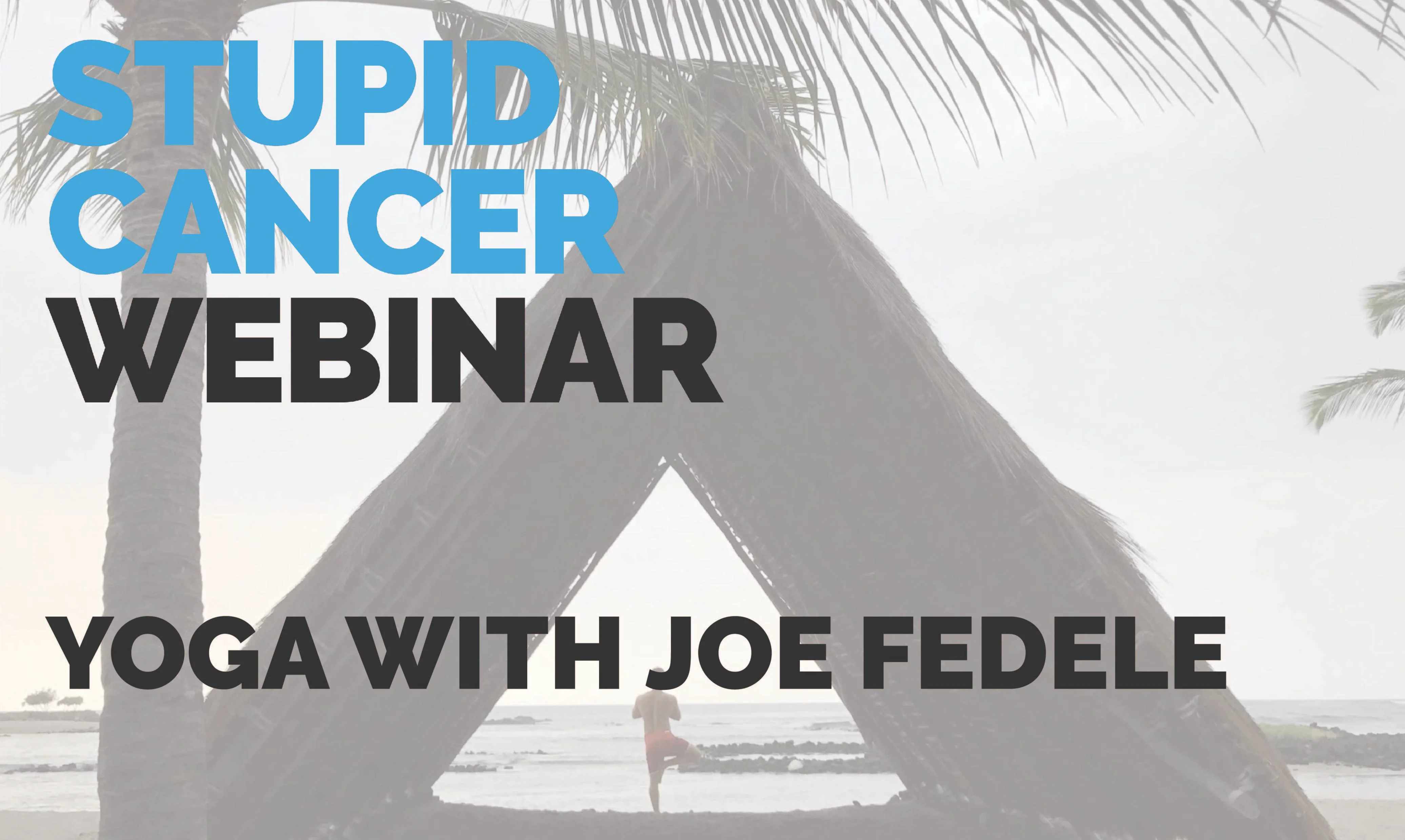 Yoga with Joe Fedele on Vimeo