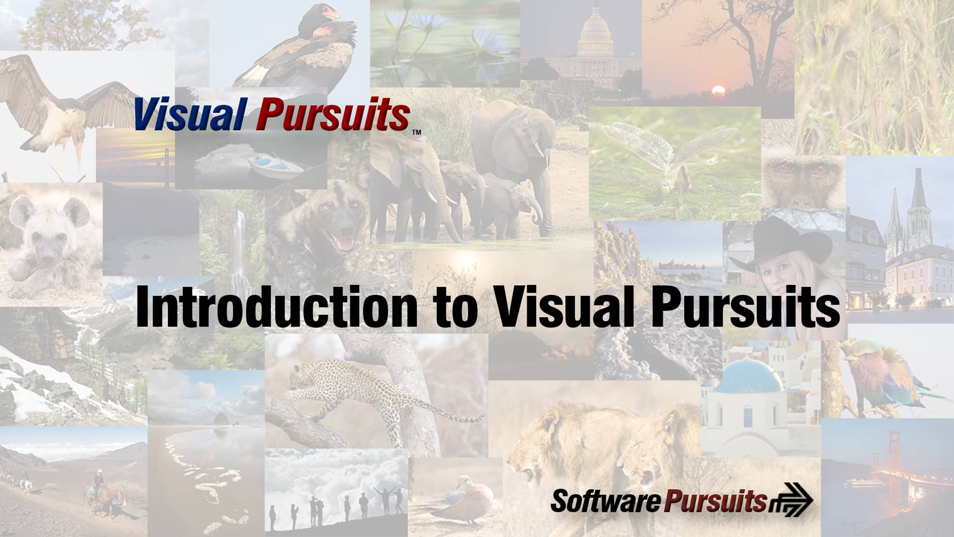 Introduction to Visual Pursuits on Vimeo