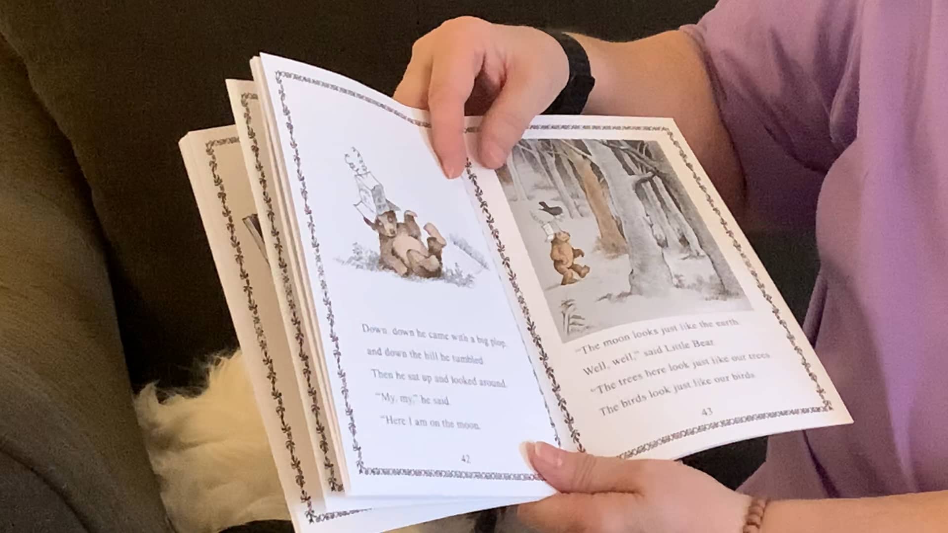 Little Bear on Vimeo