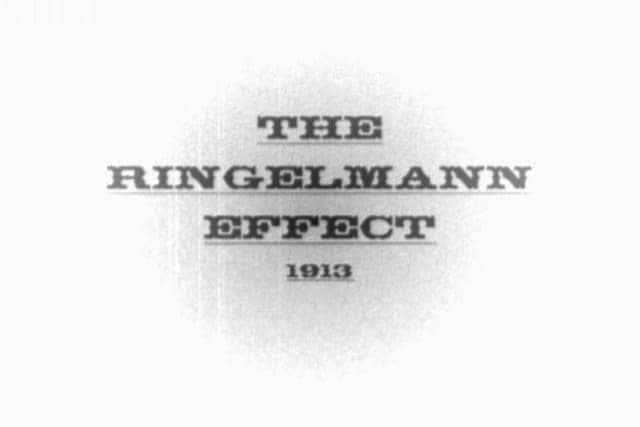 The Ringelmann Effect on Vimeo