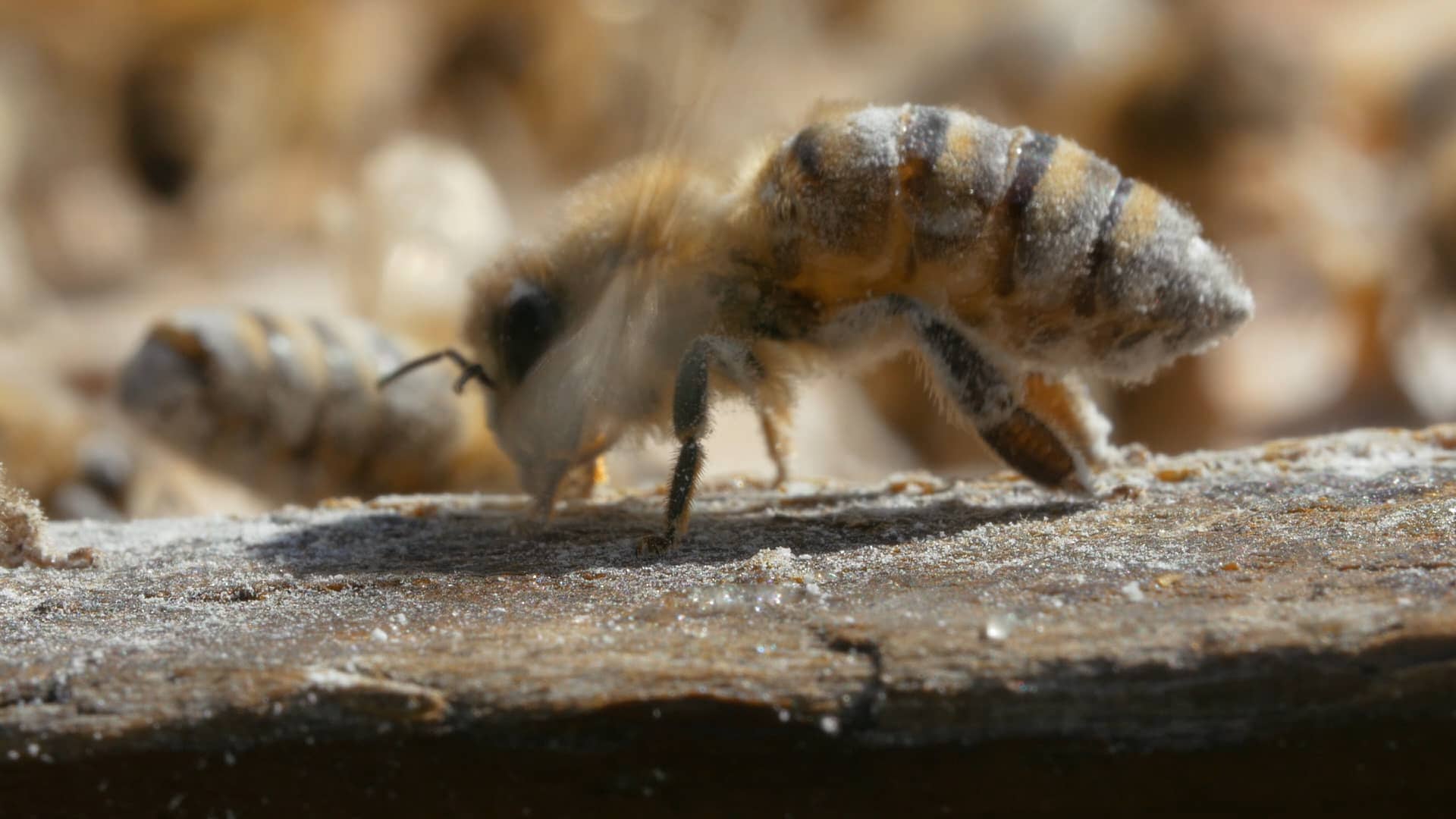 Eine Frage der Haltung - Teaser #2 on Vimeo