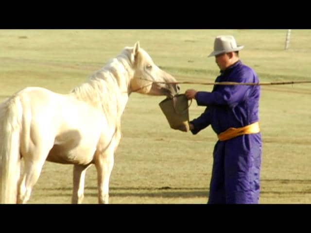 Mongol Mori on Vimeo