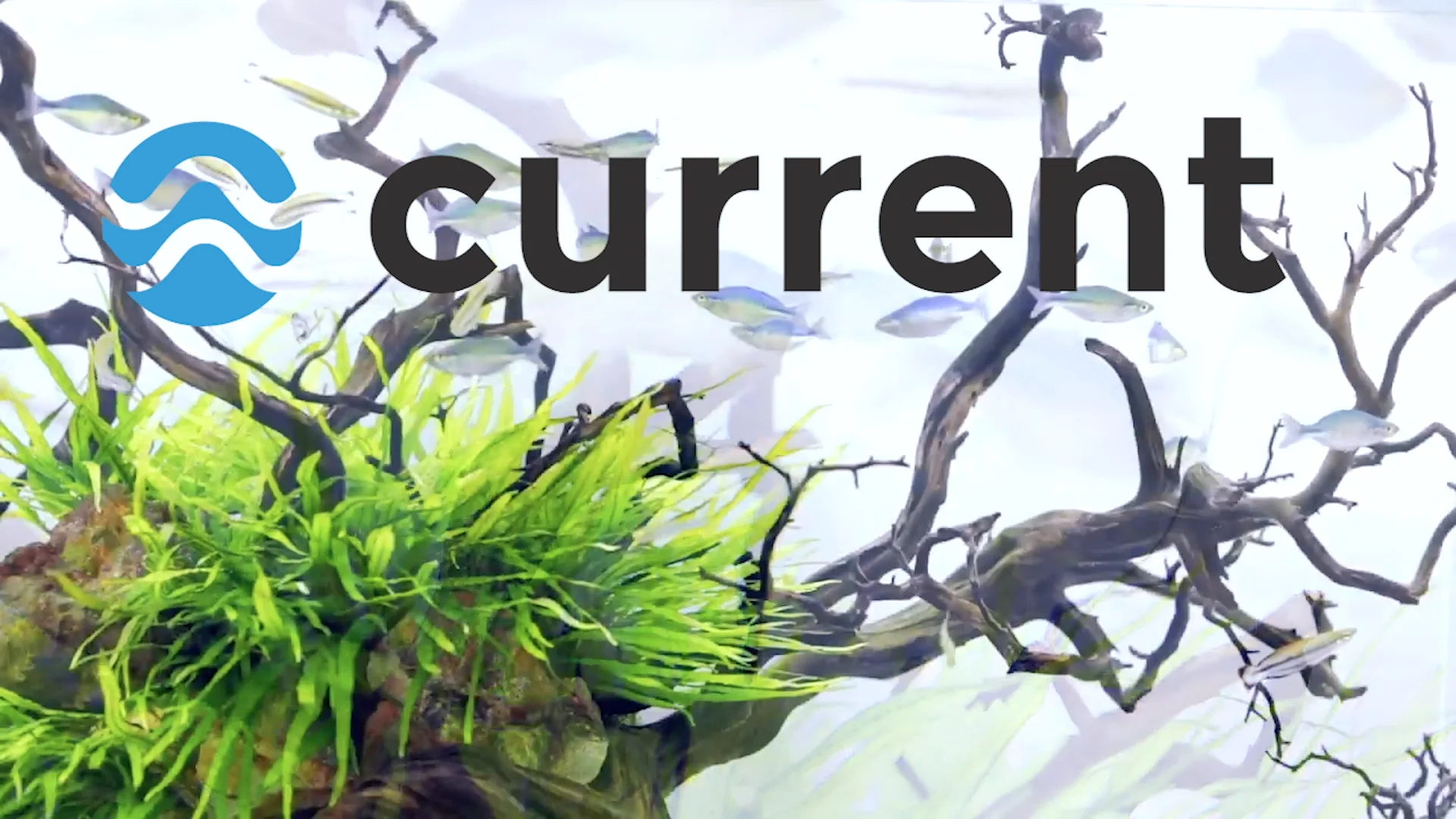 TrueLumen Pro LED Strip Light 12,000K White on Vimeo