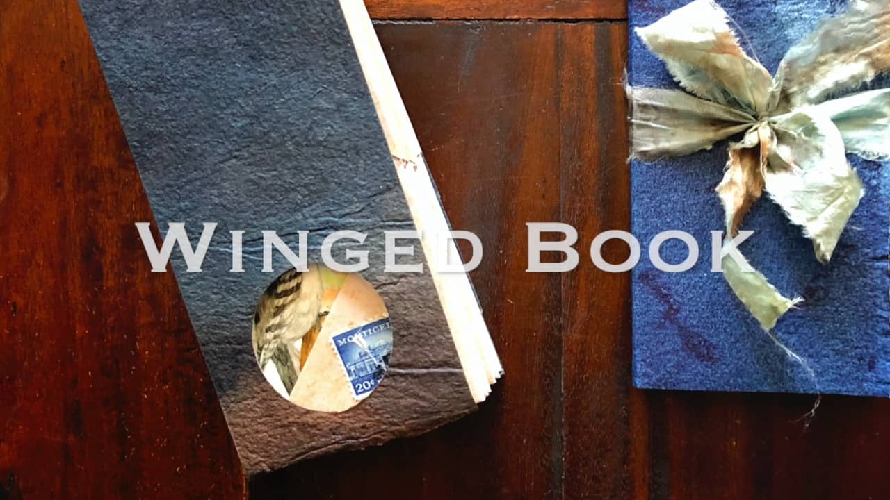 Winged Book on Vimeo
