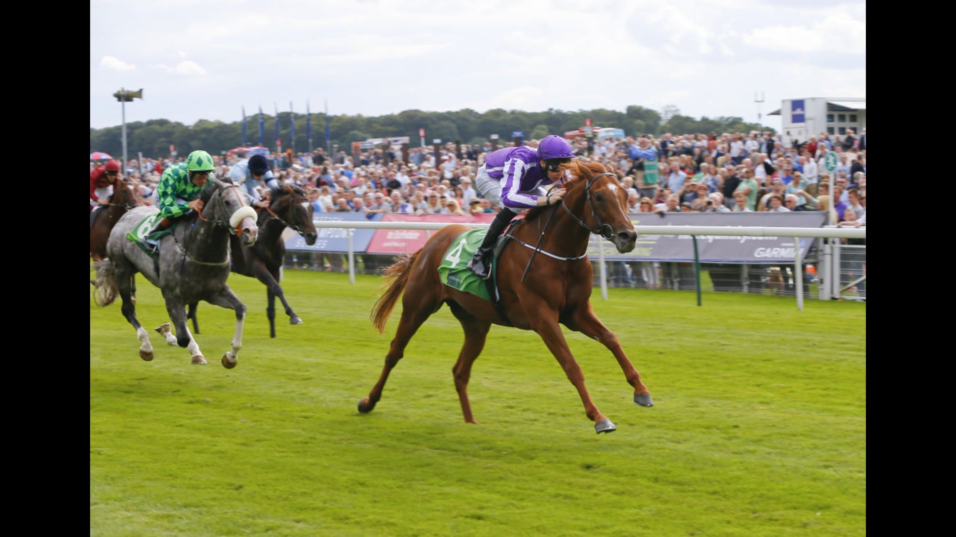 Australia | Stallions - Coolmore Ireland
