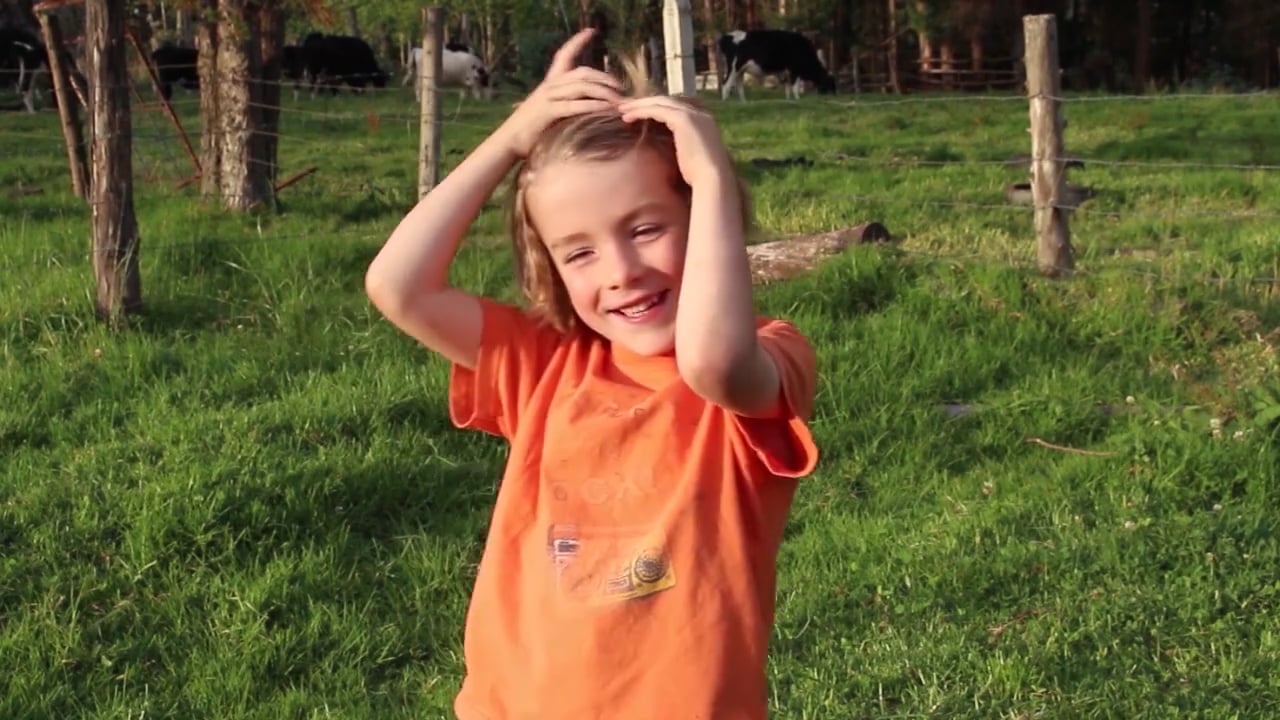 4 year update video on Vimeo