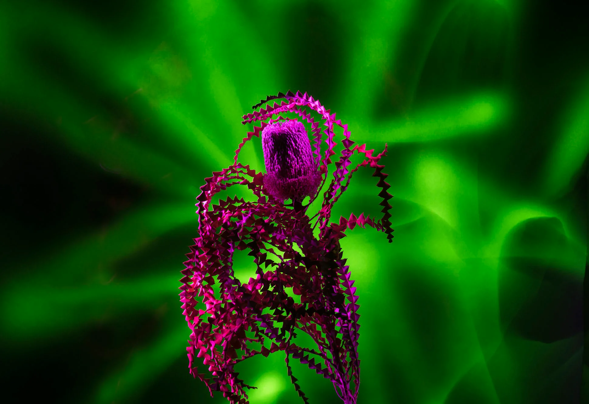 Introduction to the wonderful world of Light Painting by Peter Solness