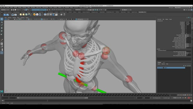 Humanoid Rigging on Vimeo