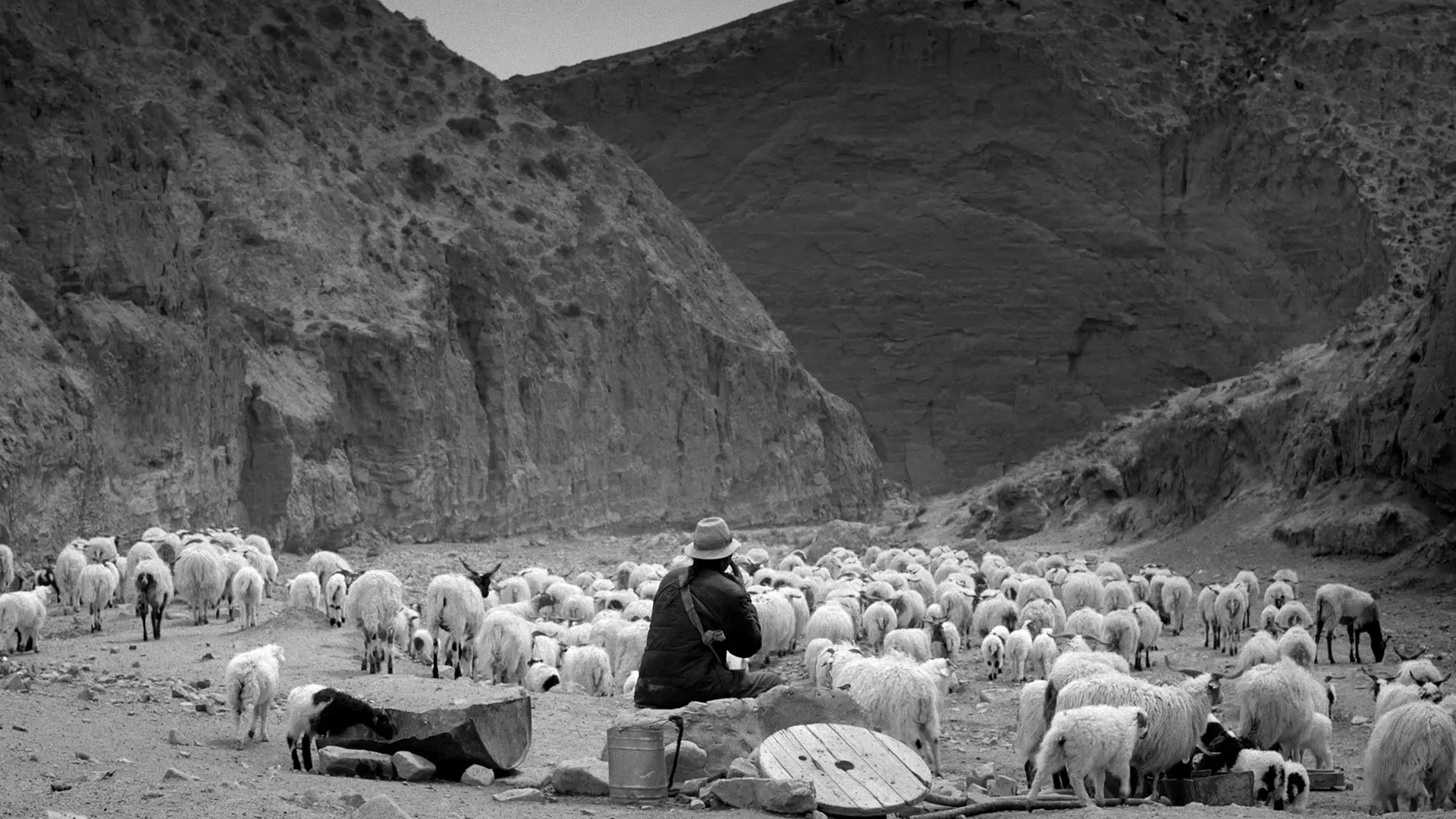 " THARLO LE BERGER TIBÉTAIN " de Pema Tseden - Bande-annonce on Vimeo