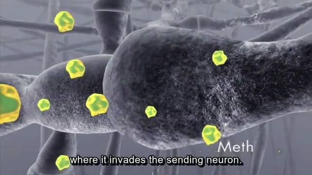 How the Brain Responds to Methamphetamine Video Clip on Vimeo