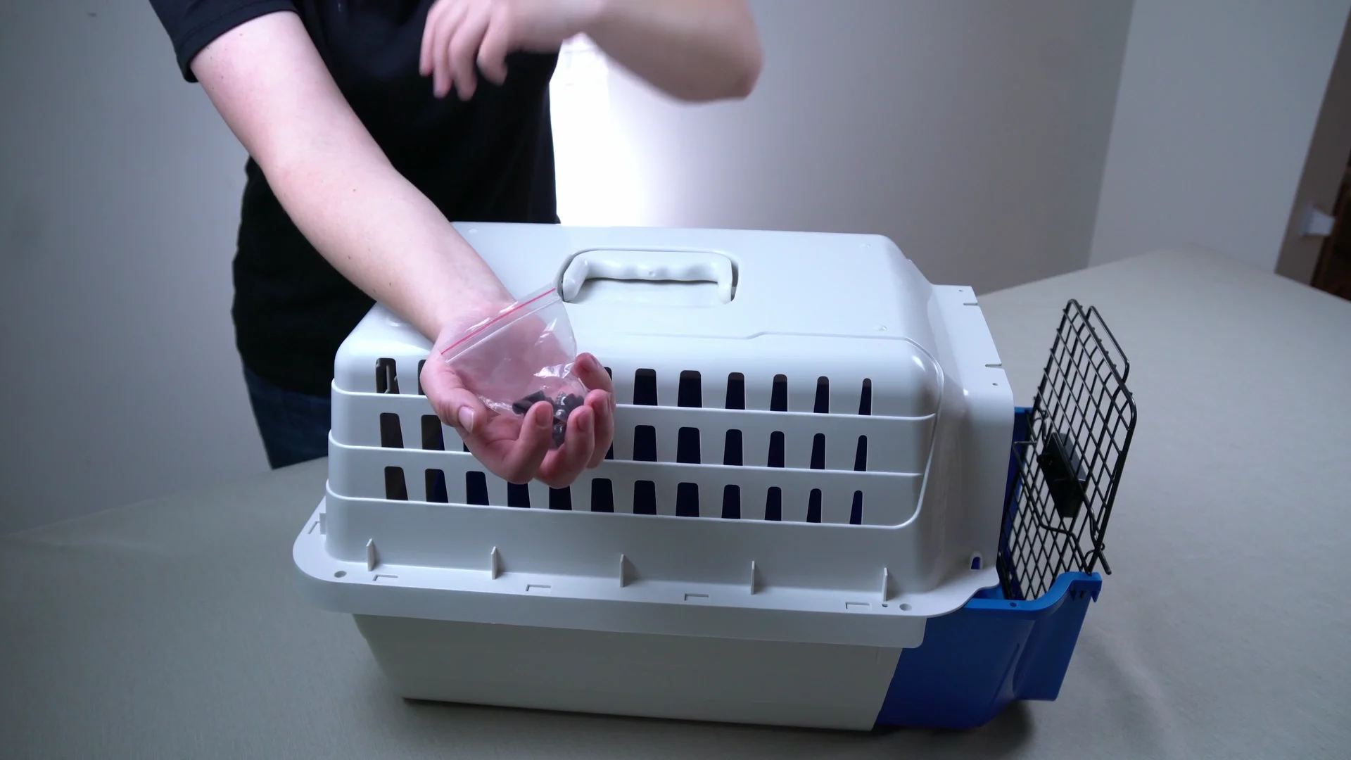 Calm Carrier Unboxing & Assembly on Vimeo