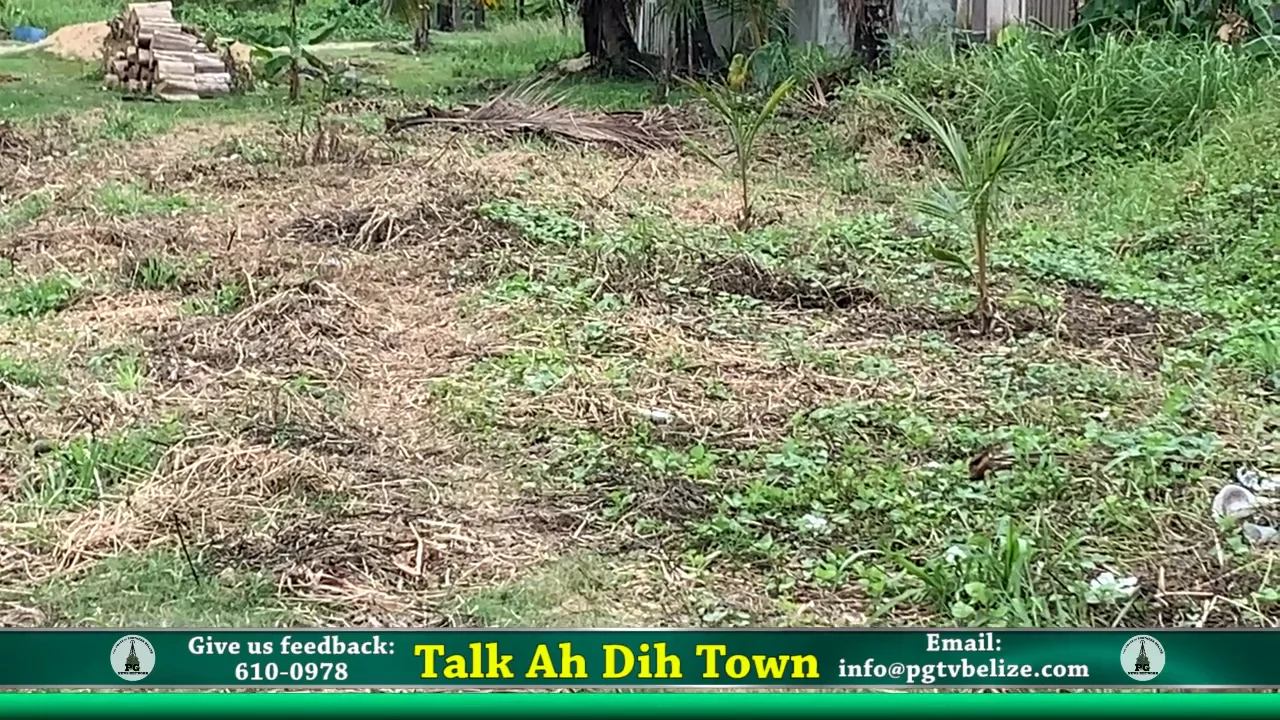 Talk ah dih town May 14, 2020 on Vimeo