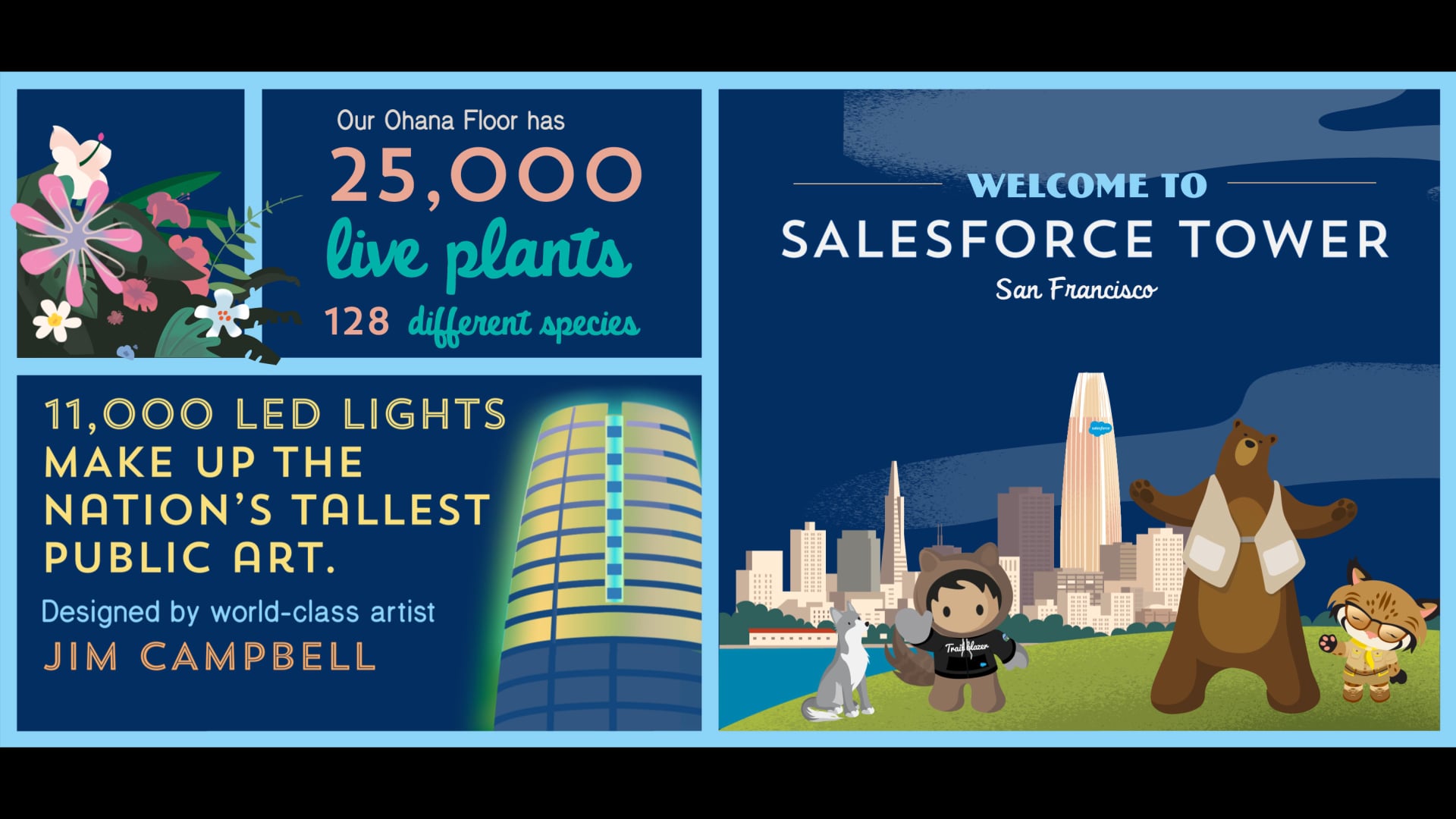 Salesforce Community Infographic Animation - Salesforce Community ...