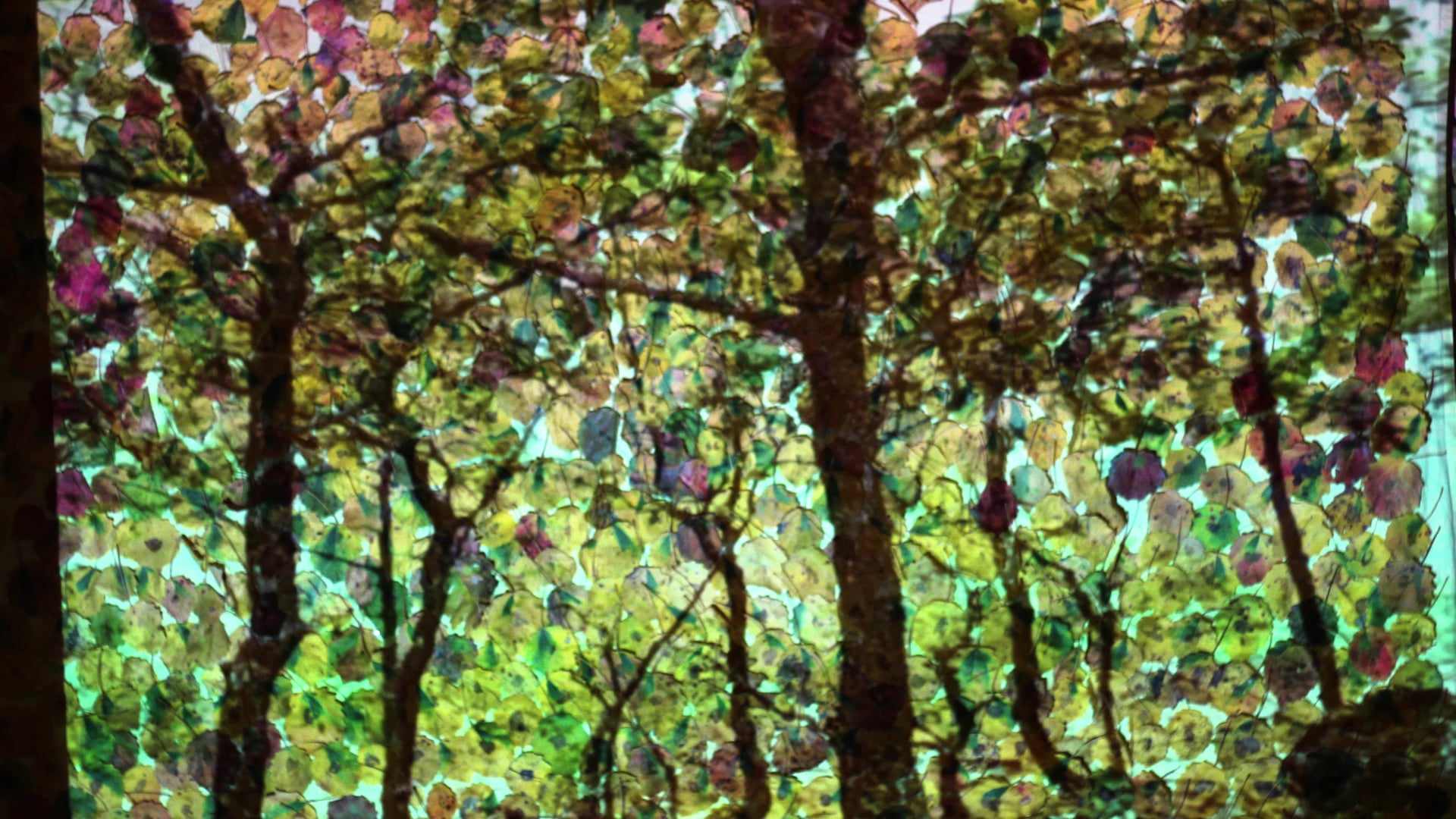Leaf Projection Screen on Vimeo