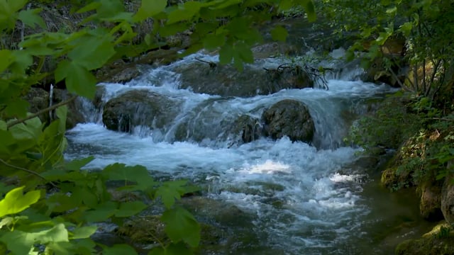 Bach, Nature, Stream. Free Stock Video - Pixabay