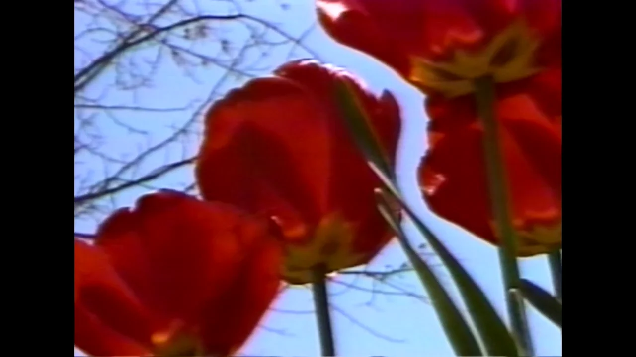 Circa 1979 WCYB-TV Spring Scenes Promo on Vimeo