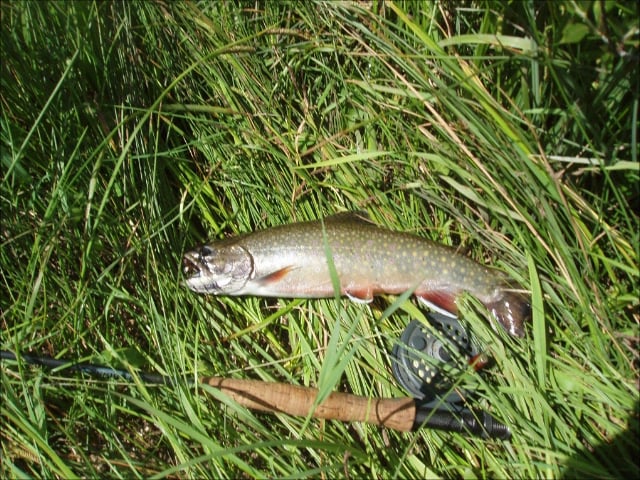 Why fly fish on Vimeo
