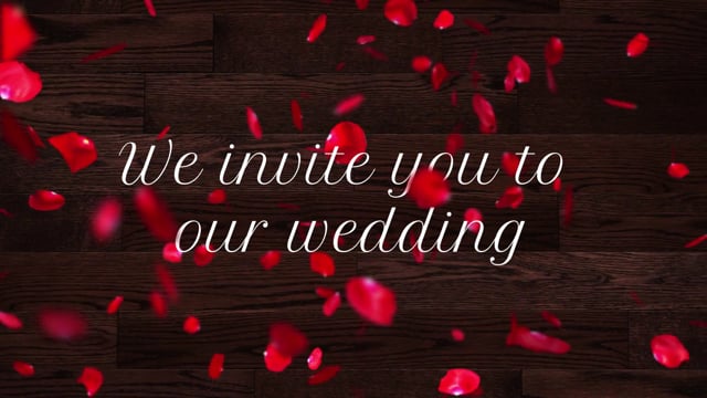 20+ Free Invitation & Wedding Videos, HD & 4K Clips - Pixabay