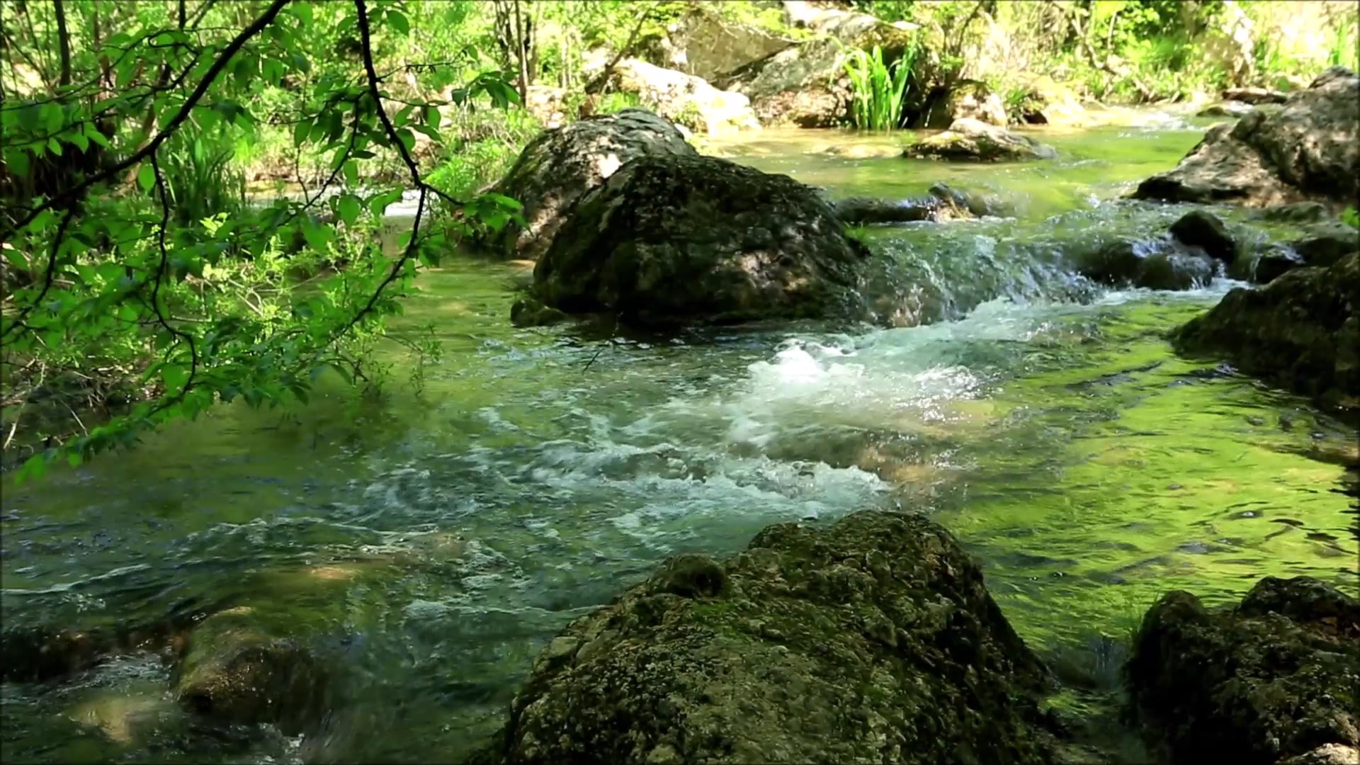 Never Never River, Hermes Estate Private Riverfront on Vimeo