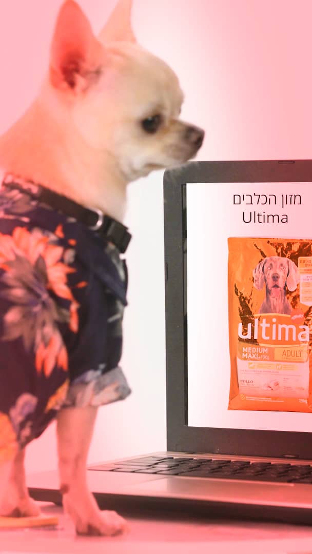 Donation_Call_Center_RCV02 on Vimeo