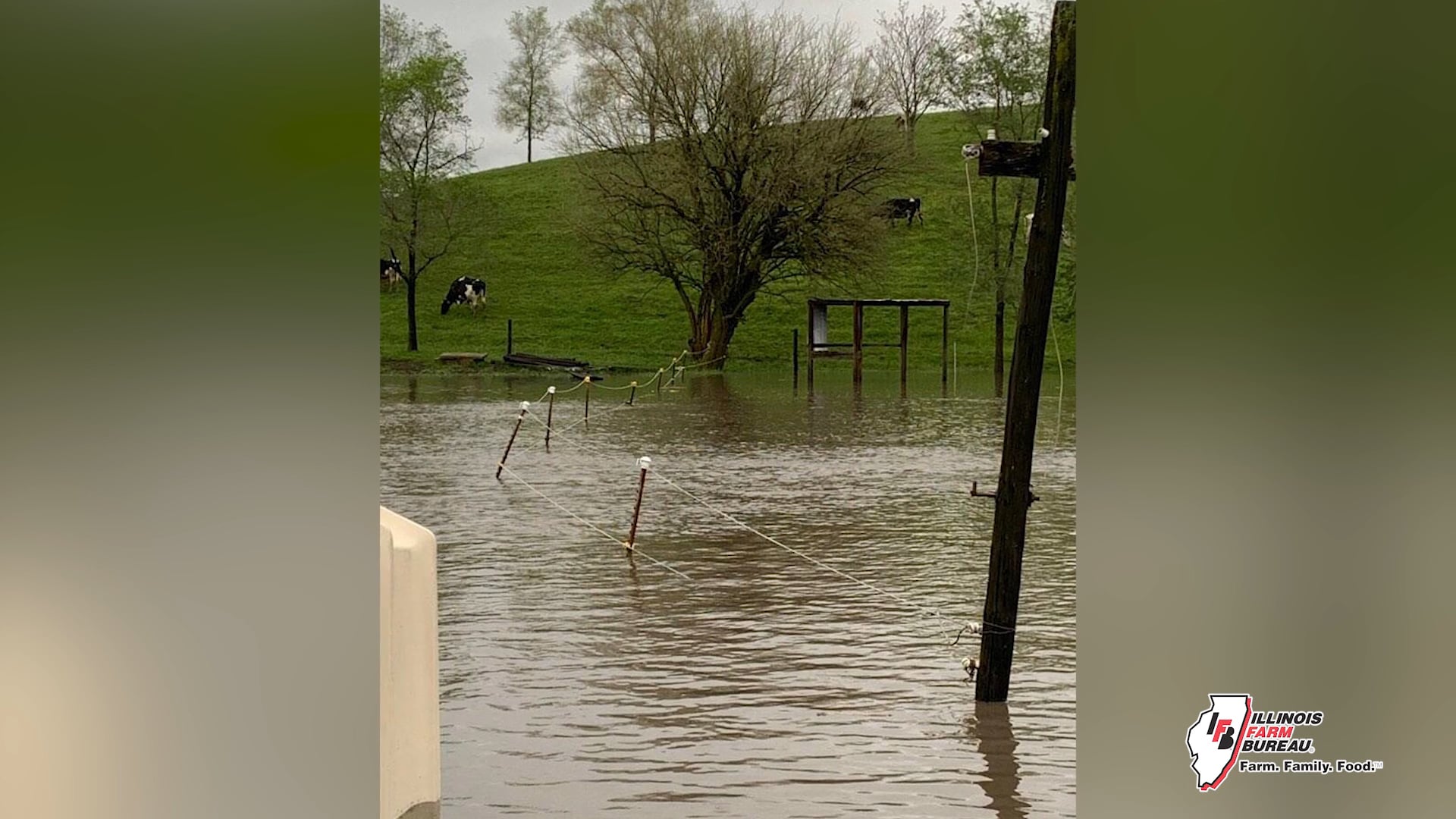 Scott Halpin Flooding Update on Vimeo