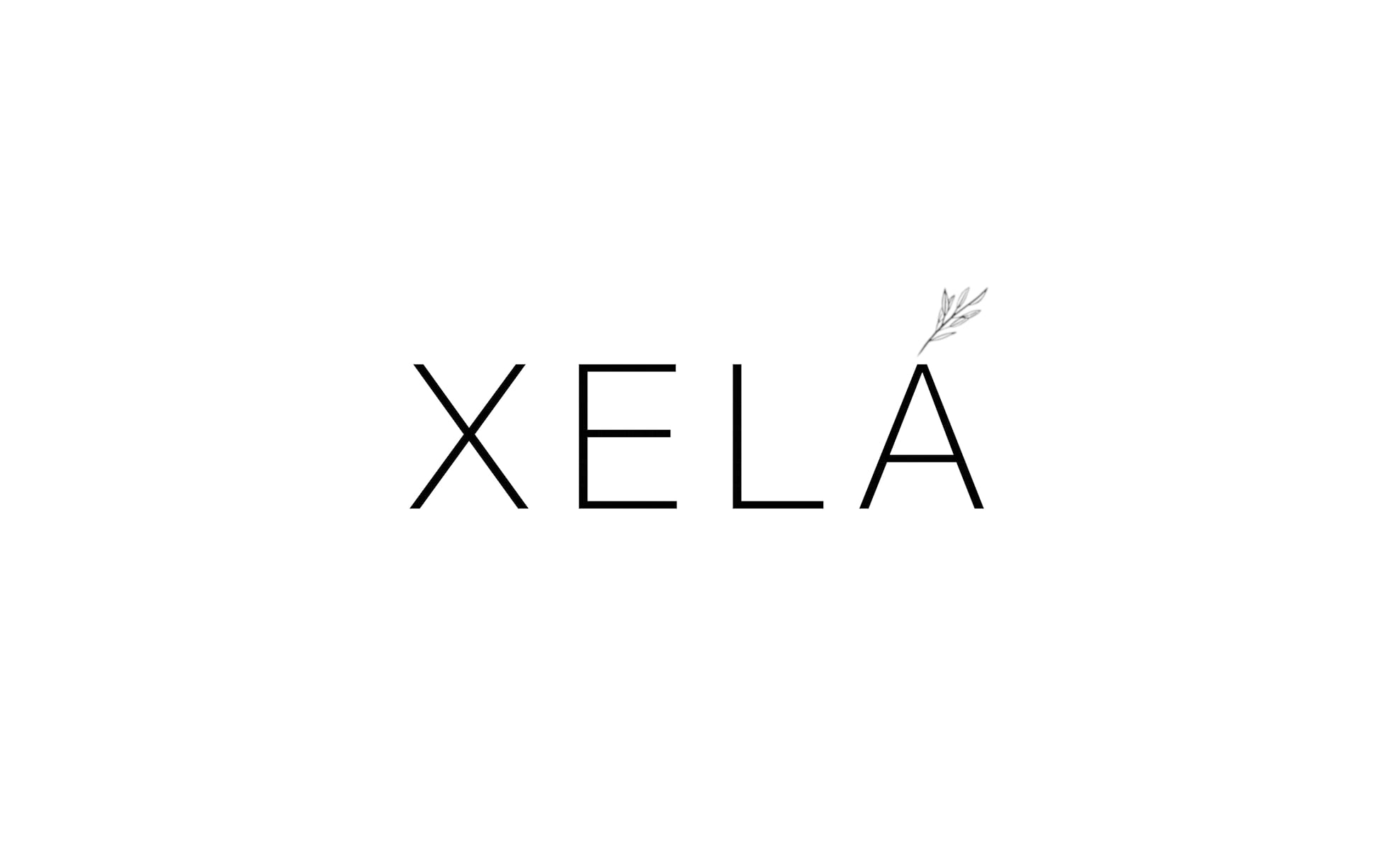 XELÁ logo animation on Vimeo