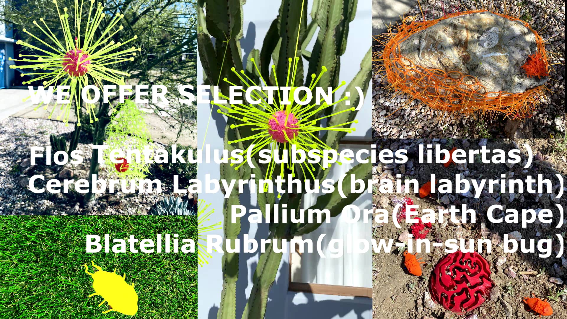 Bionic Garden is For You on Vimeo