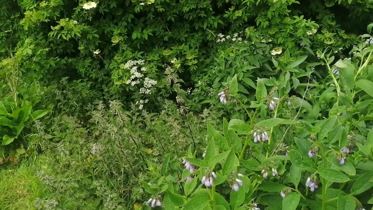 Hugh Doolan "On the Face of an Angel" 2020 on Vimeo