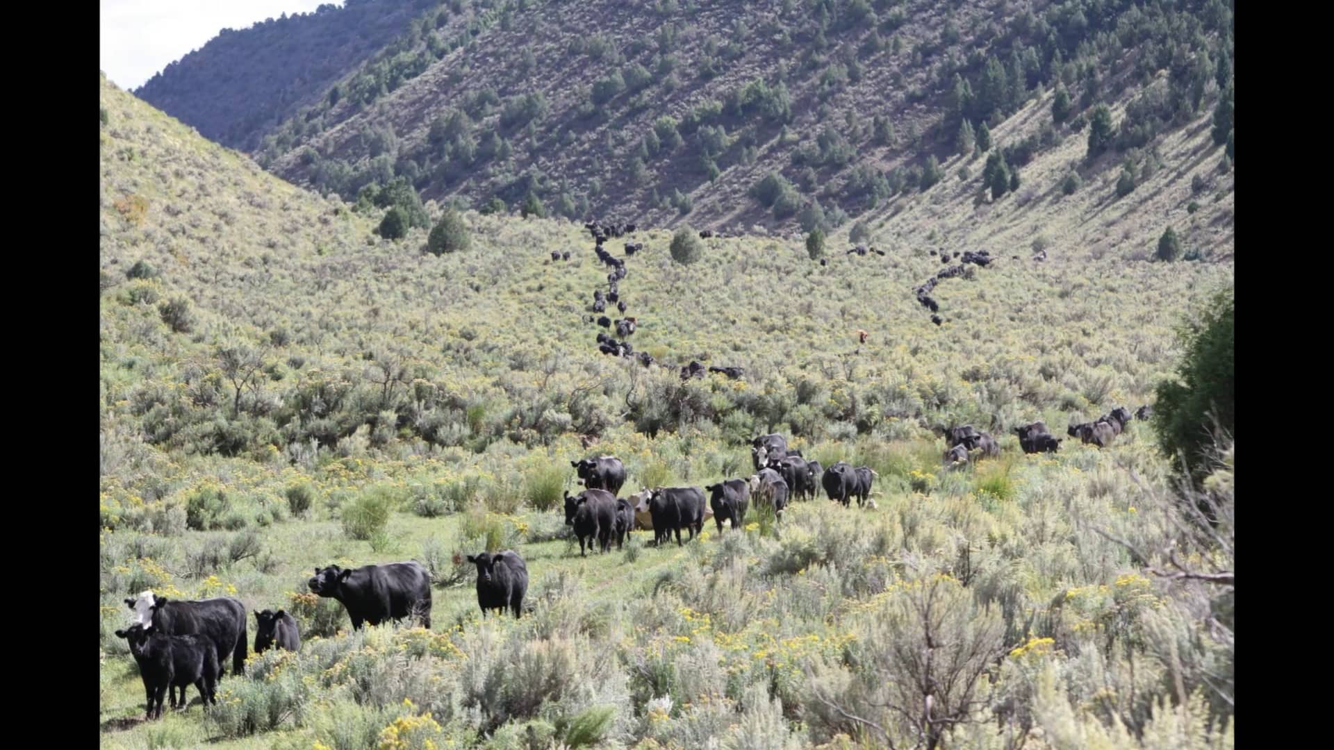 Piceance Creek Ranch on Vimeo