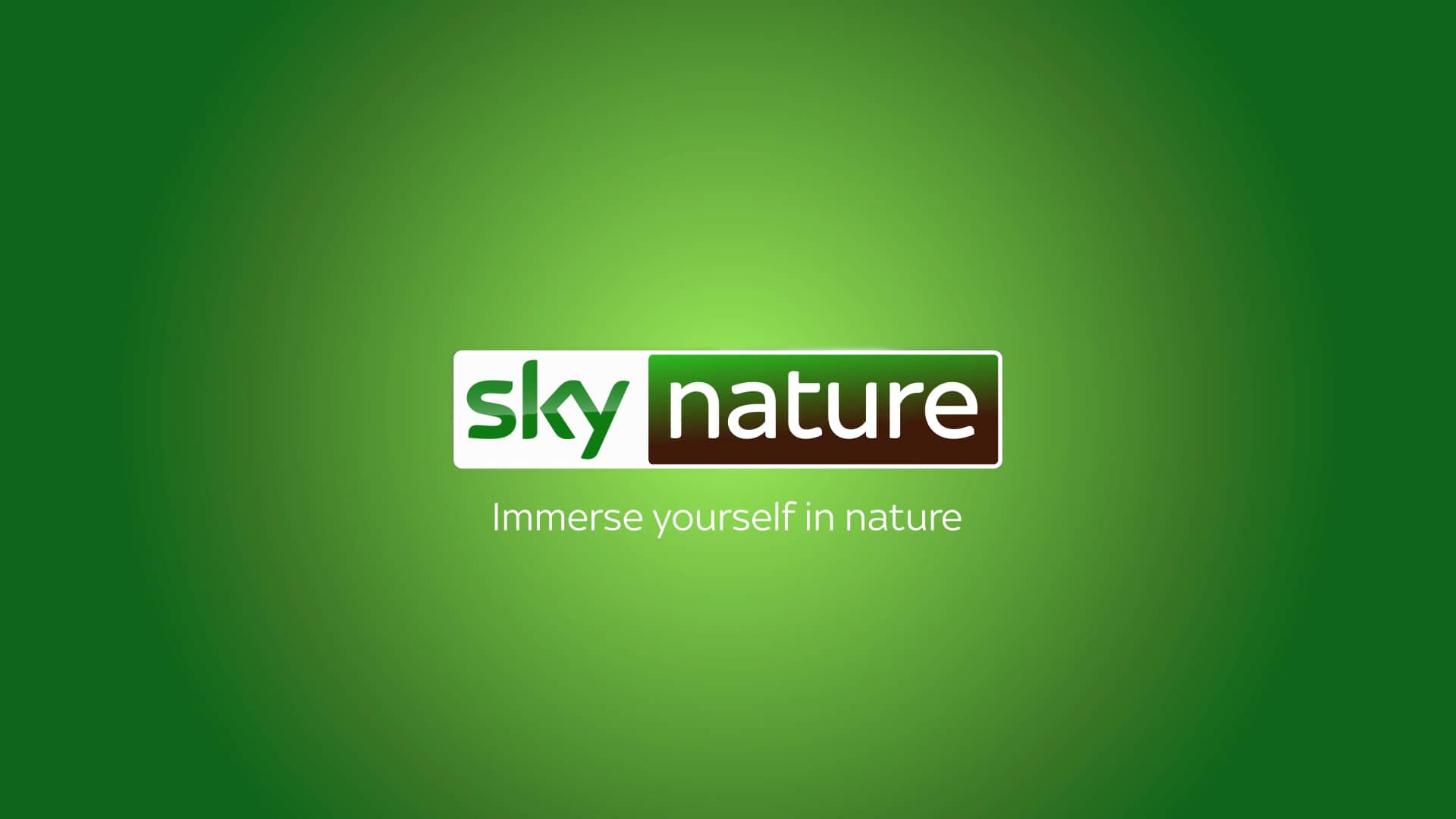 Sky Nature Channel Branding on Vimeo