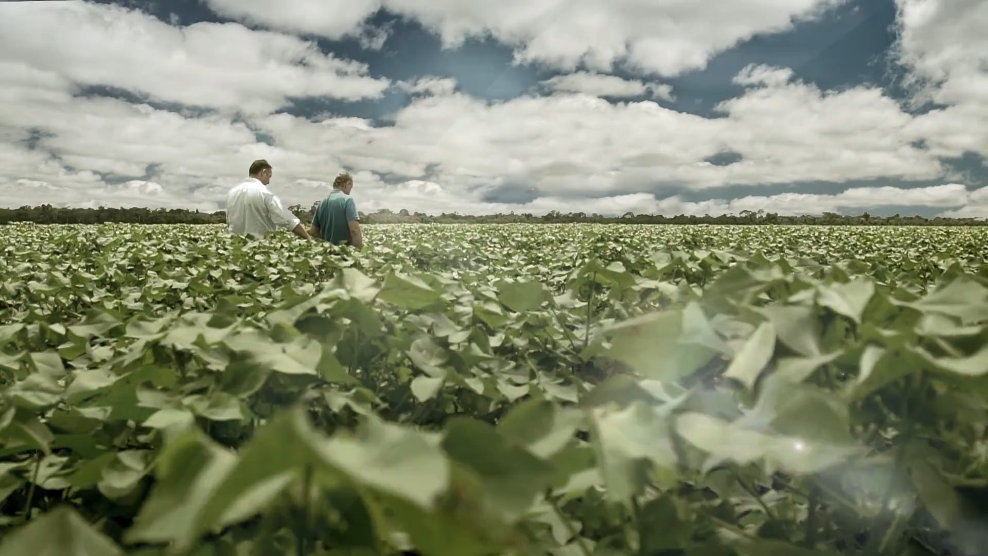 Filme ADM 60 8K on Vimeo