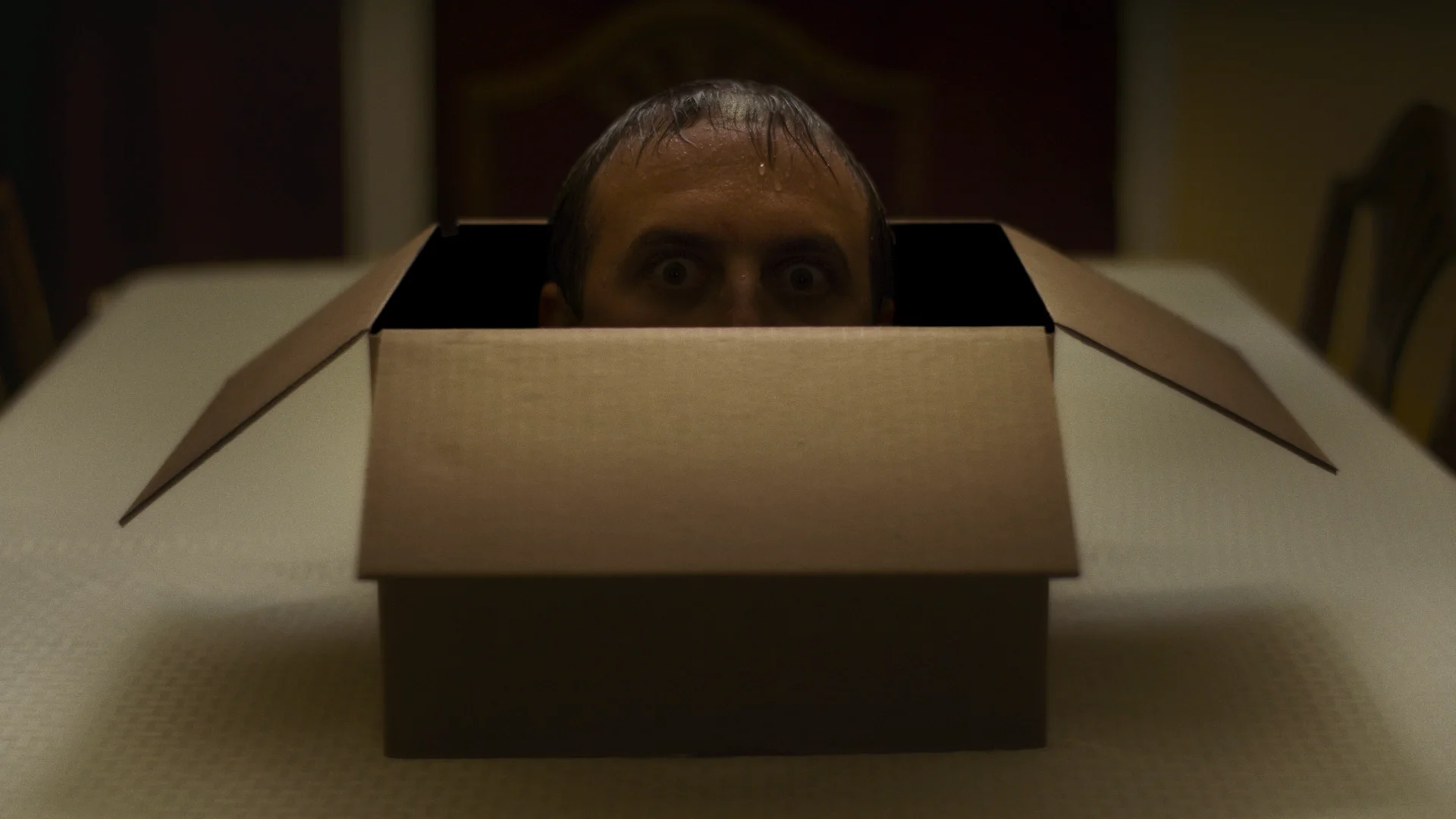 Other Side Of The Box