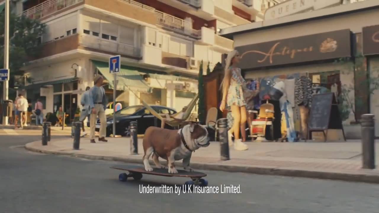 Churchill - 2019 Chill Advert on Vimeo