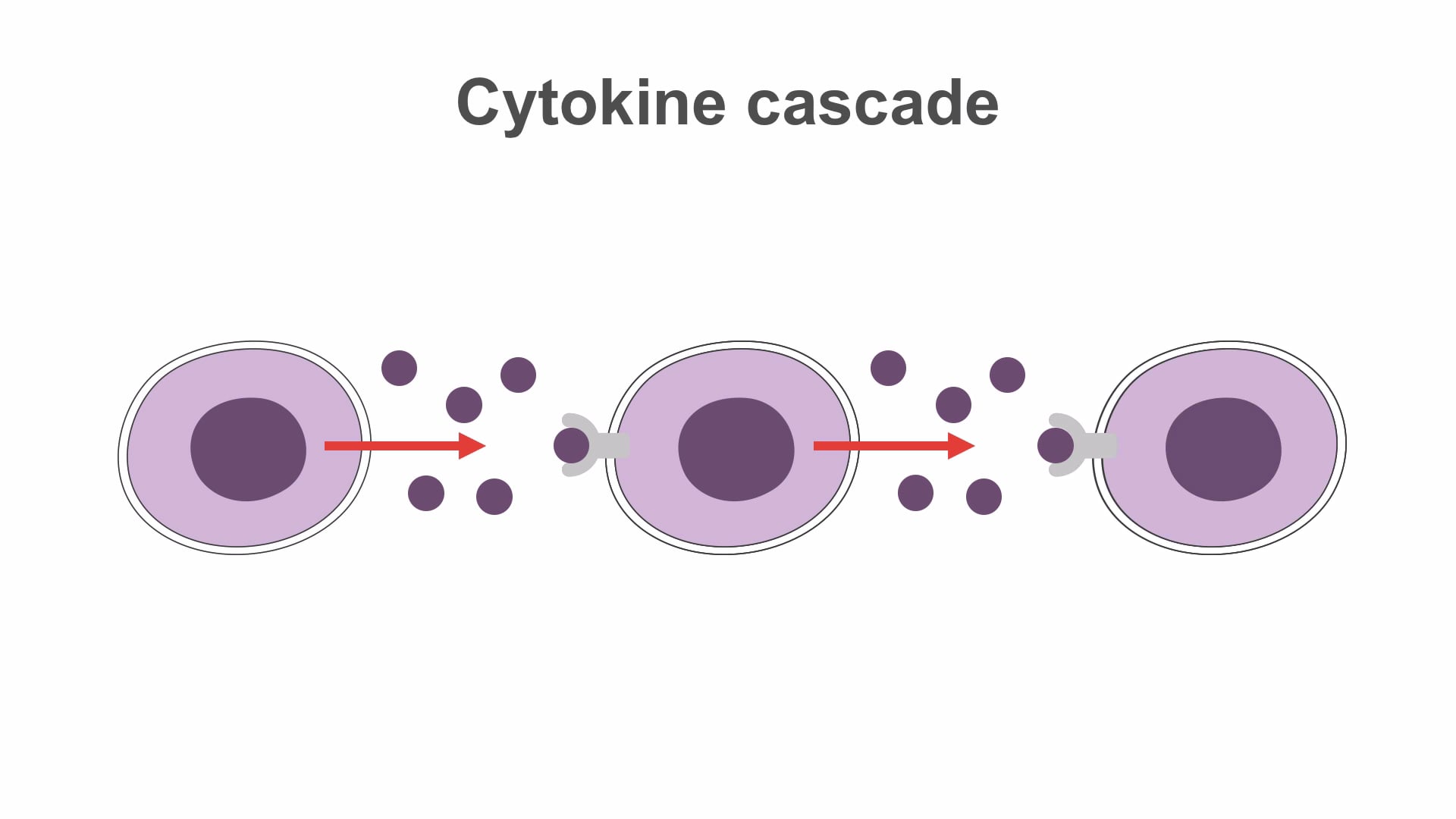 G65: Cytokine cascade on Vimeo