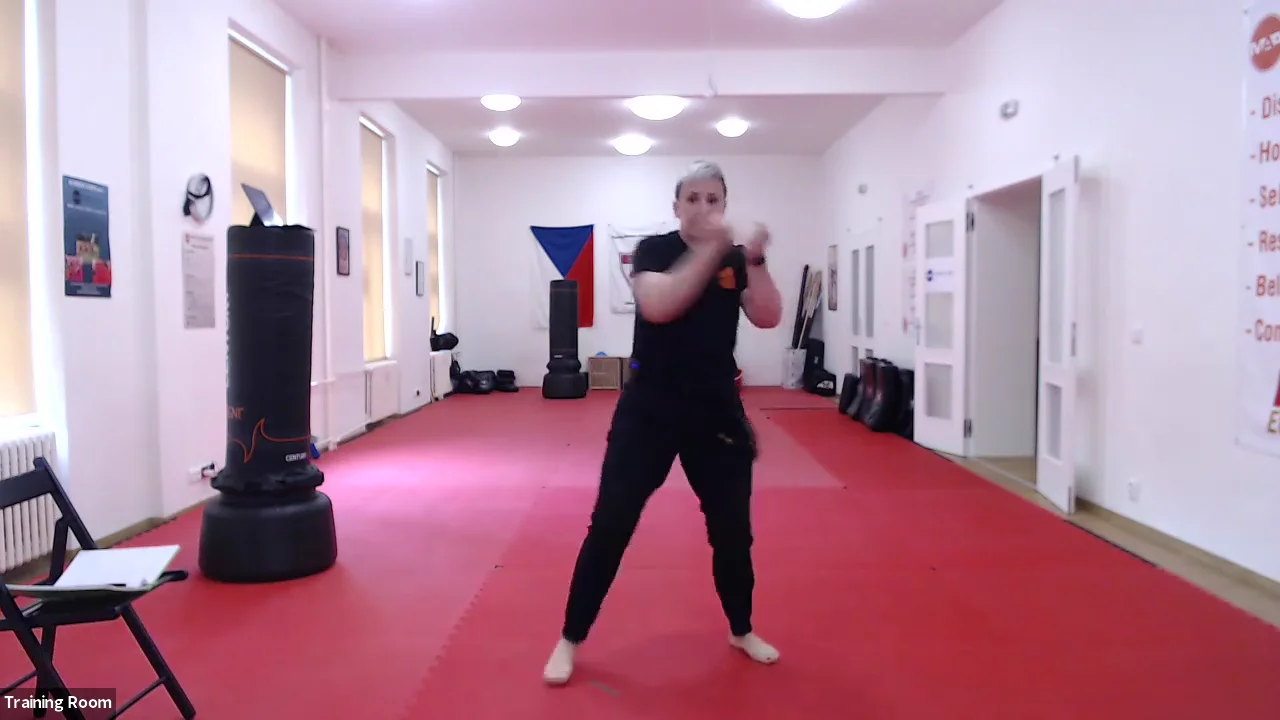 Tigers Hand Technique Communication Week 4 on Vimeo