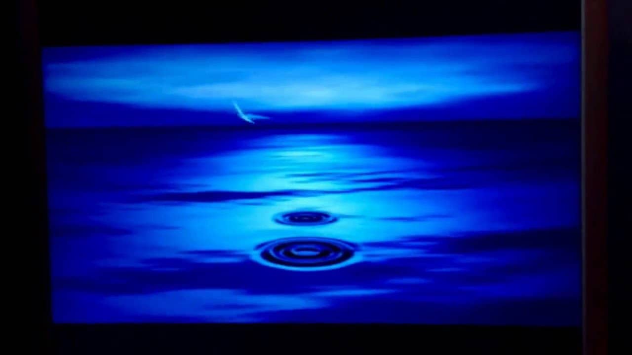 media 8 entertainment logo with no sound on Vimeo