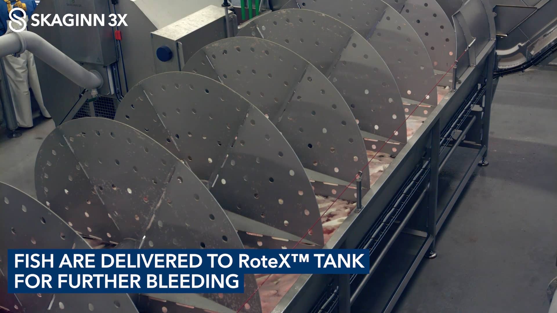 Skaginn 3X - Bleeding and Sub-Chilling™ of Arctic Char with ValuePump™ and RoteX™ on Vimeo