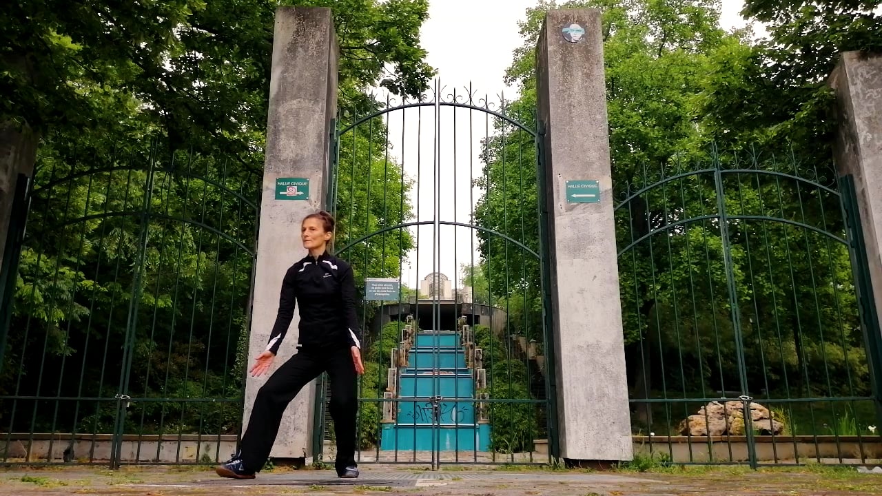 Wudang Tai Chi Chuan - Forme courte ronde on Vimeo