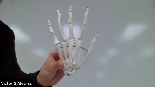 Articulated hand | Videos & Movies on Vimeo
