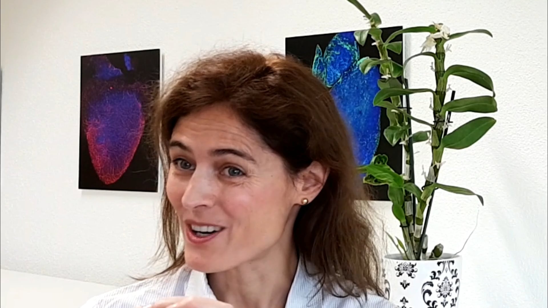 UniBern - Nadia Mercader Huber. El desarrollo del corazón on Vimeo