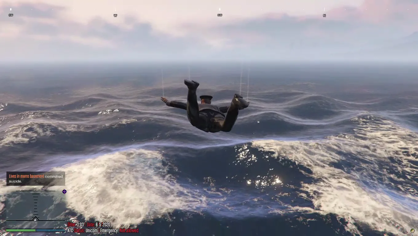 FiveM - Infinite Network Flight Simulator ️ __ Custom Scripts and Over ...