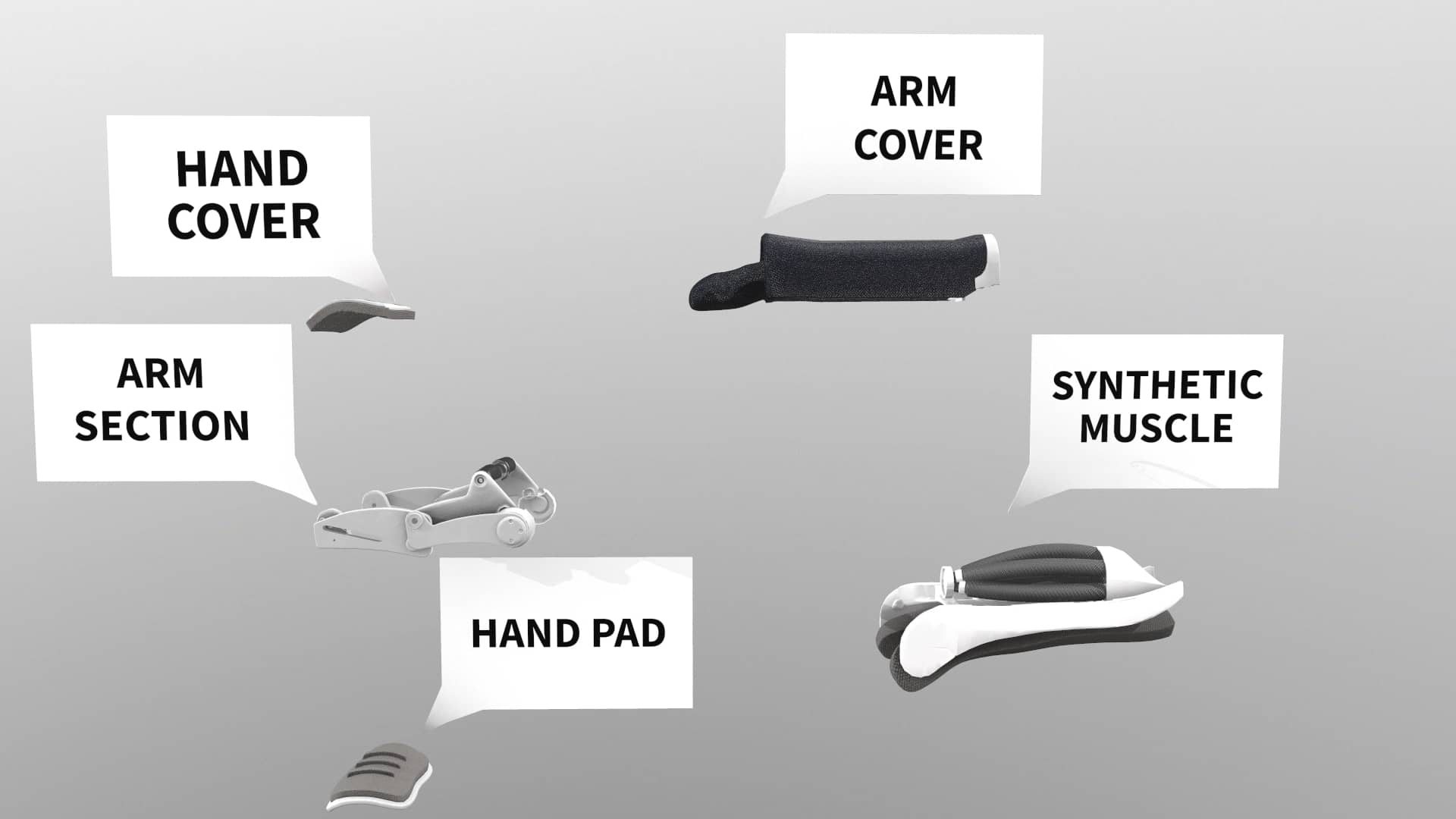 The Anatomy of the Motus Hand Mentor on Vimeo