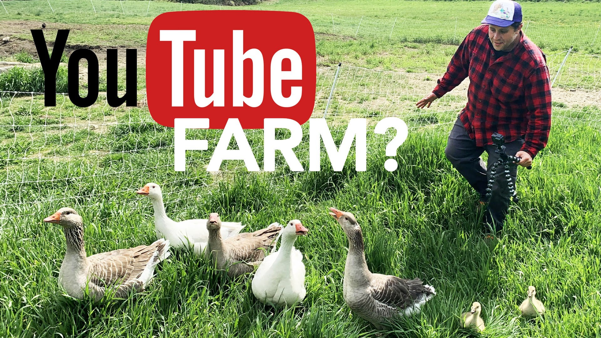 Gold Shaw Farm Grows YouTube Views in Peacham [Stuck in Vermont 613] on ...