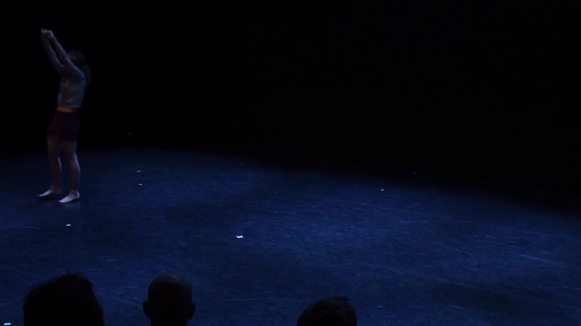 Rowy Tebeest, performance video