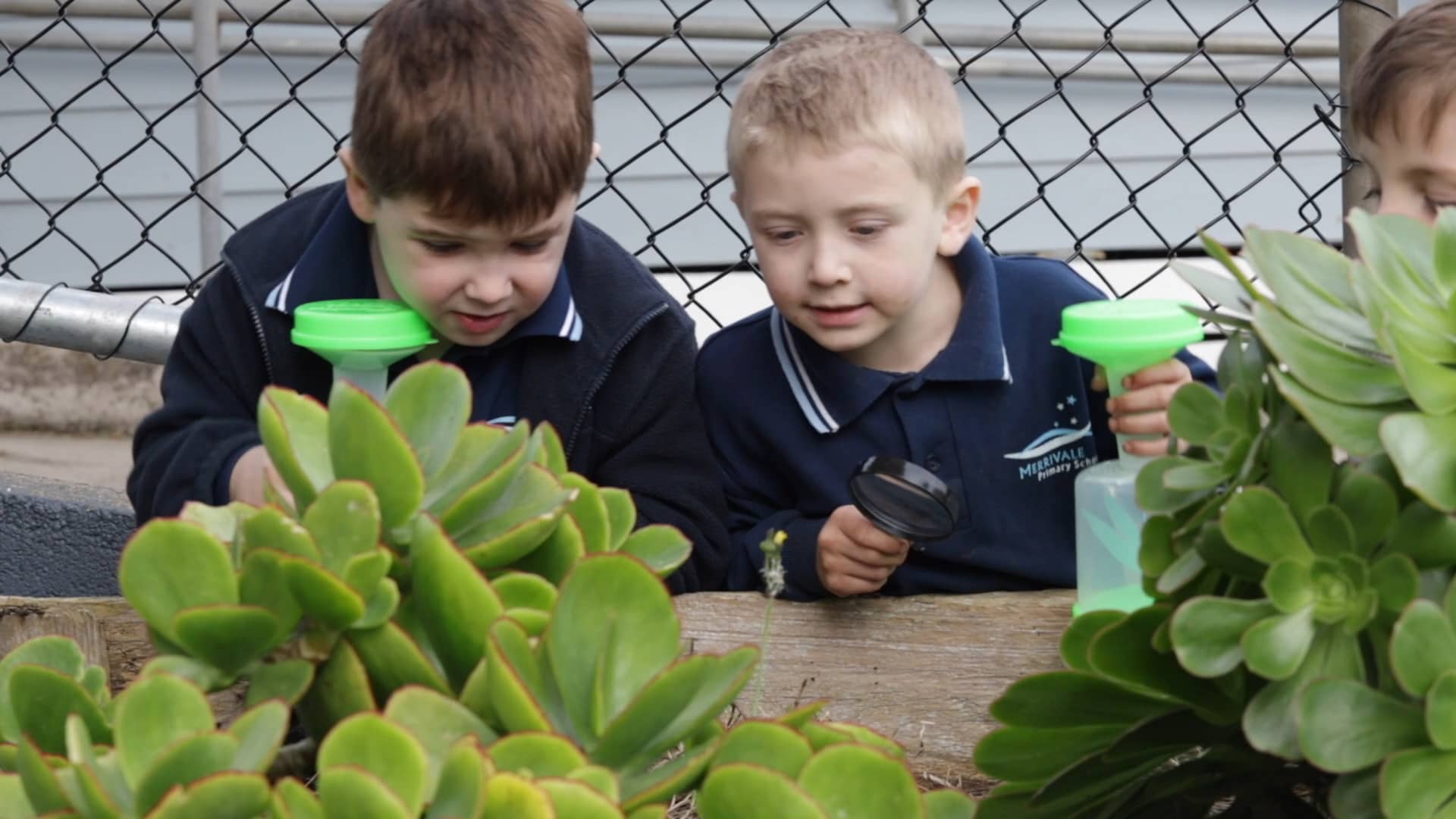 Merrivale Primary School: 2020 Enrolment Video on Vimeo