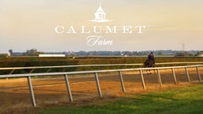 Calumet Farm