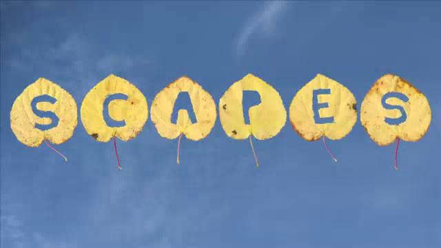 Scapes Intro on Vimeo